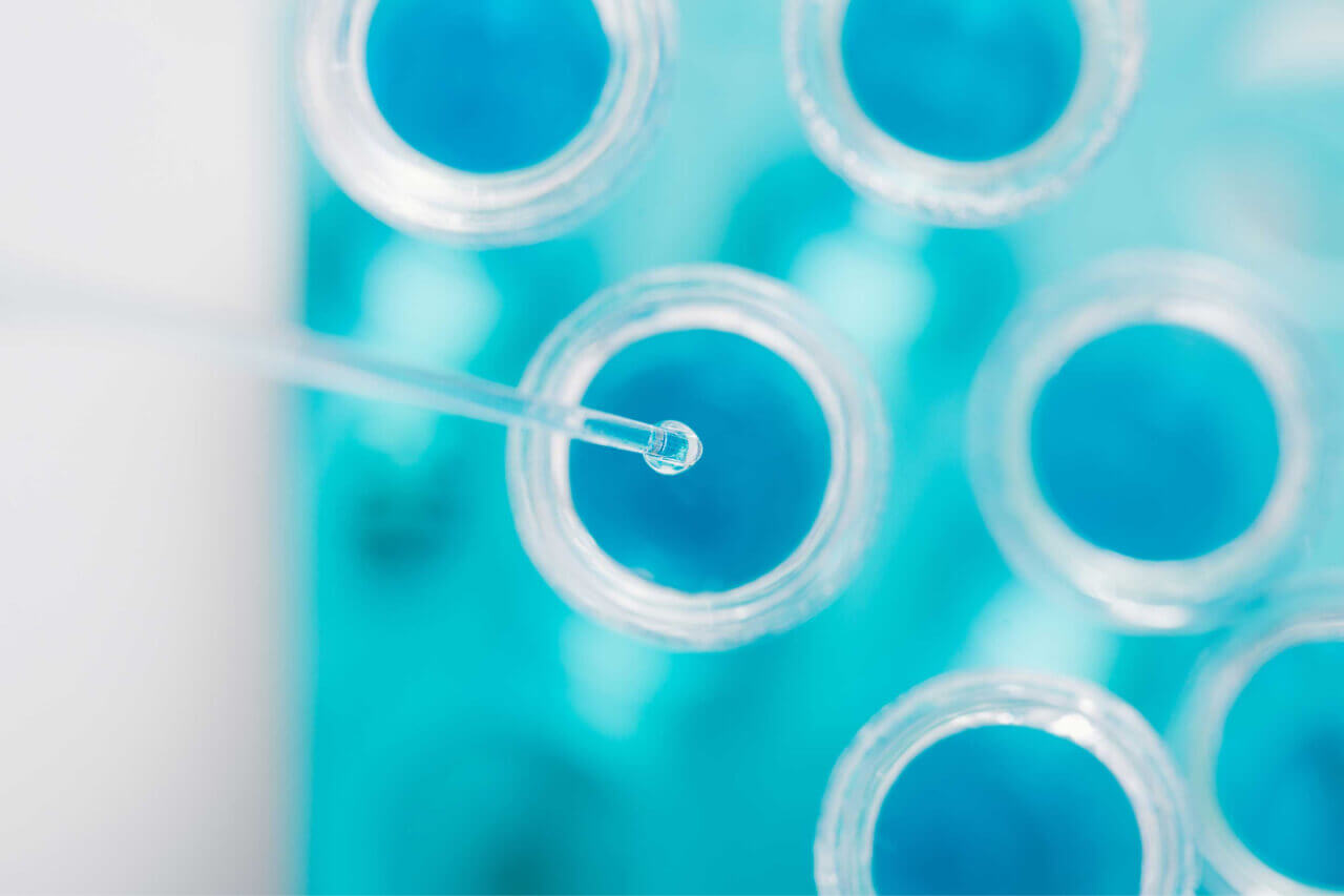 Patient Information | Streamline Scientific