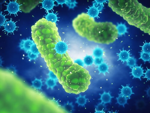 Pathogen Detection | Streamline Scientific